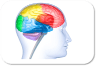 SOAR® Strategic Learning Skills Curriculum - Study Skills by SOAR Learning