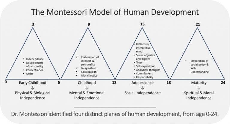 Ideal Instructional Models
