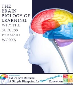The Brain Biology of Learning